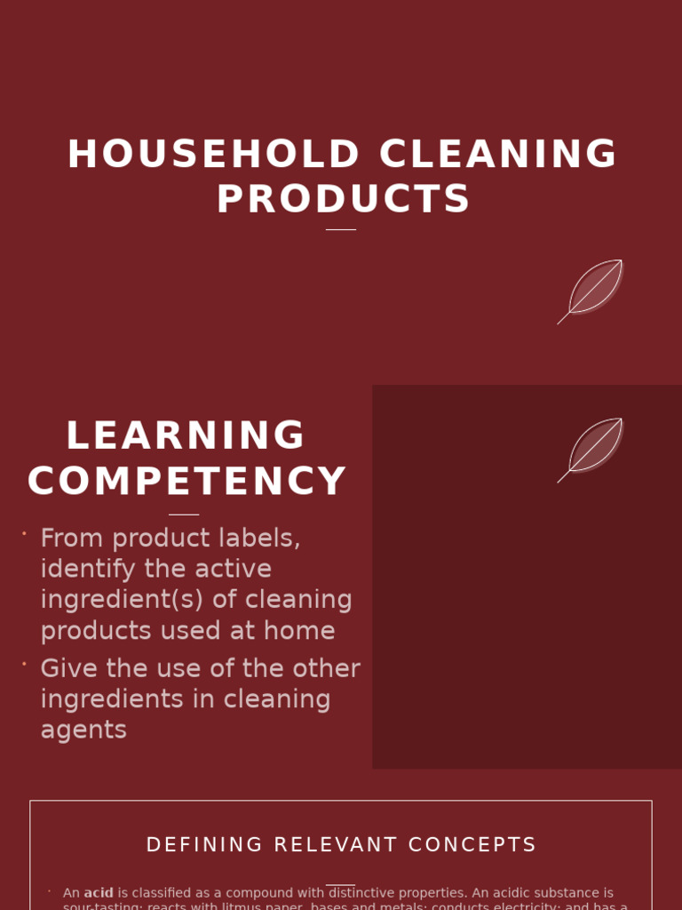 Household Cleaning Products | PDF
