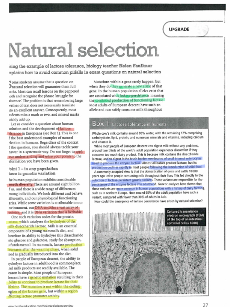 Biological Sciences Review Natural Selection | PDF