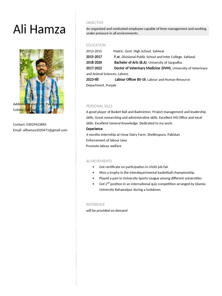 Ali Hamza CV | PDF