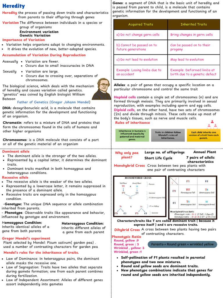 Cheat Notes - Heredity (Prashant Kirad) | PDF | Dominance (Genetics ...