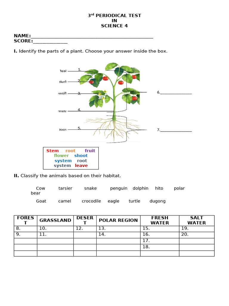 Science 4 Plant and Animal Test | PDF | Plants | Habitat