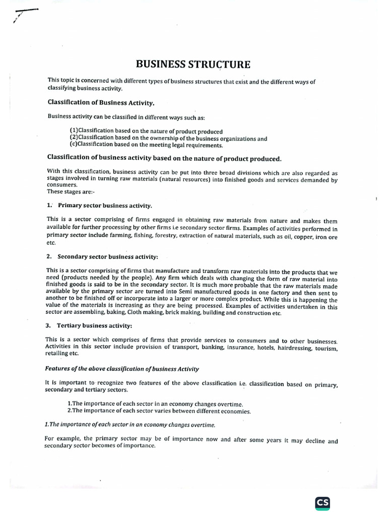 Business Structure | PDF