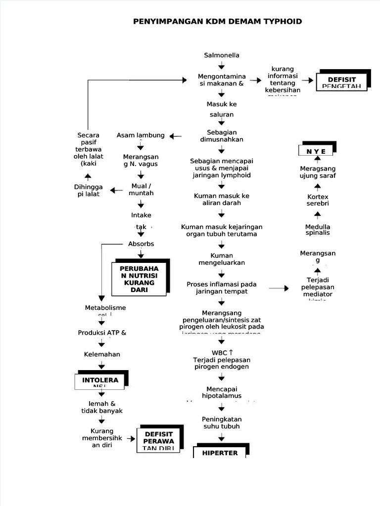 PDF Penyimpangan KDM Demam Typhoid - Compress | PDF