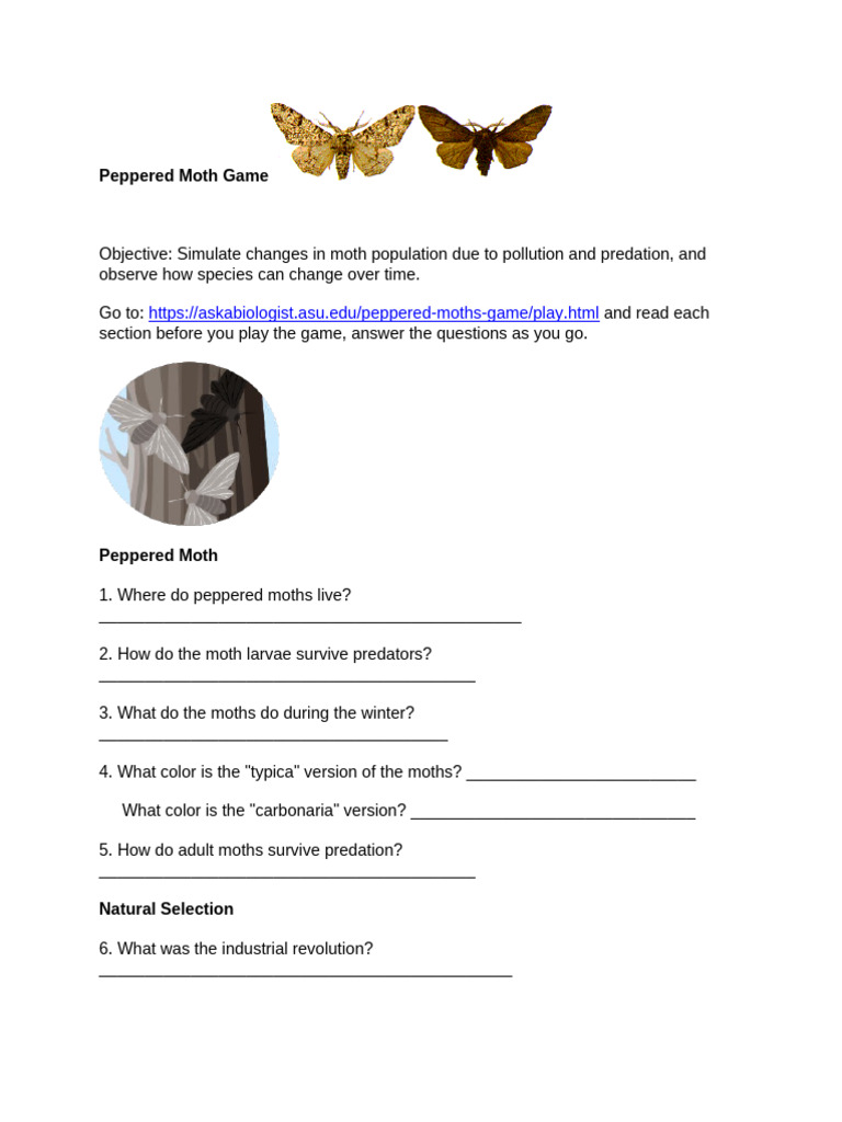 Peppered Moth Population Simulation Game | PDF