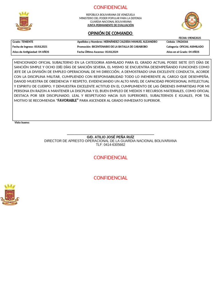 Opinión de Comando sobre Teniente Hernández | PDF