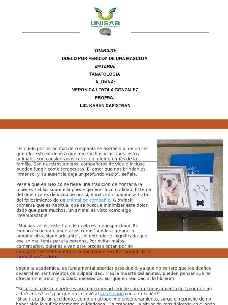 Duelo por la Pérdida de una Mascota | PDF | Dolor | Mascota