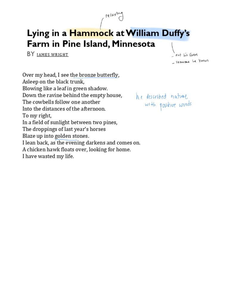 Poem - Lying in A Hammock at William Duffy's Farm in Pine Island Minnesota | PDF