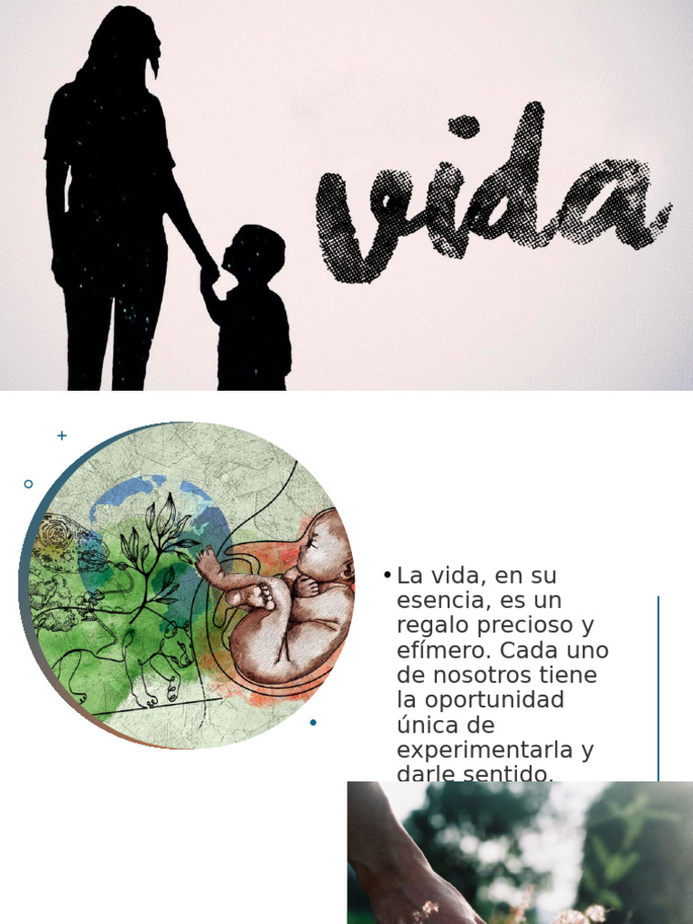 Charla Ted Sobre La Vida | PDF