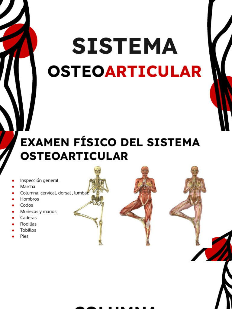 Examen Físico del Sistema Osteoarticular | PDF | Rodilla | Tobillo