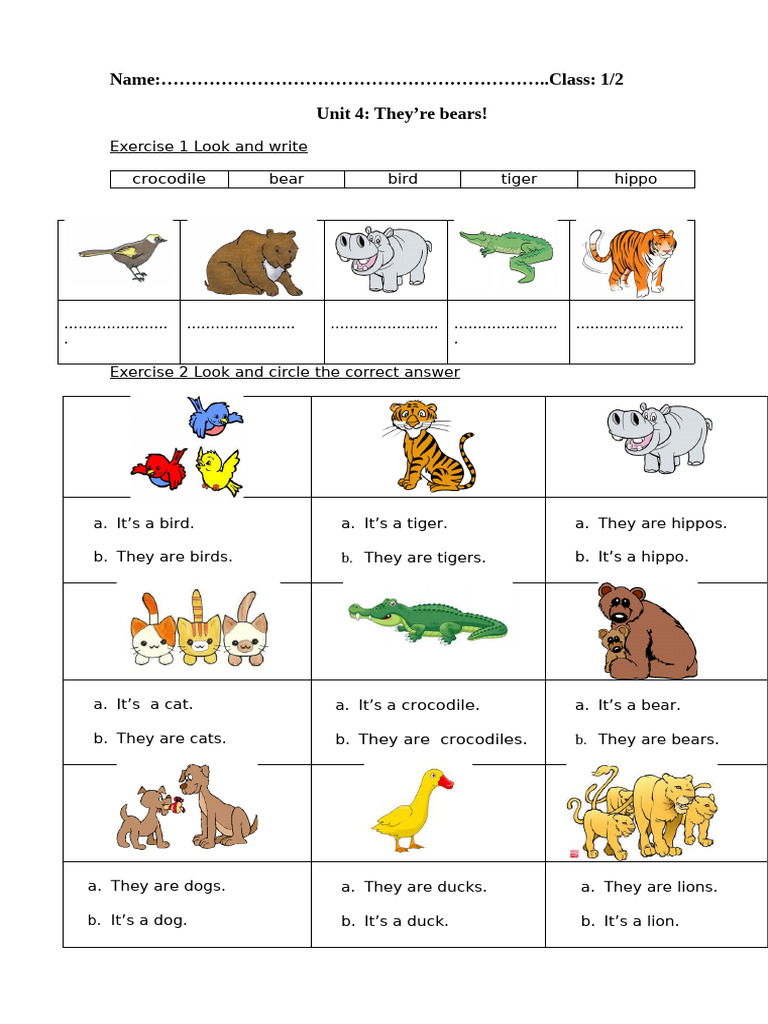 Zoo Animals | PDF