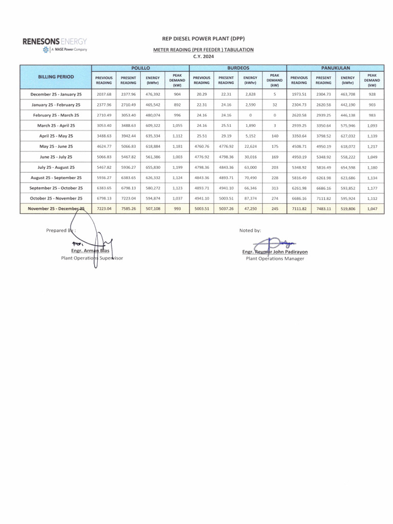 REP-DPP - Meter Reading (Per Feeder) Tabulation - December 2024 | PDF