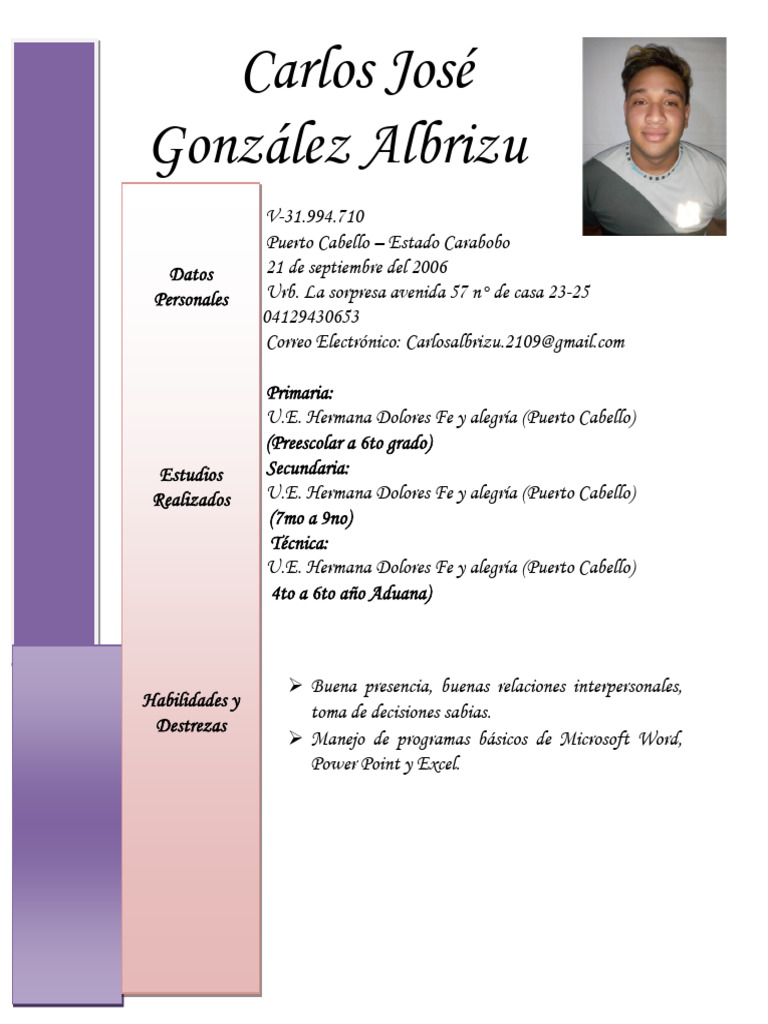 Curriculum Carlos | PDF