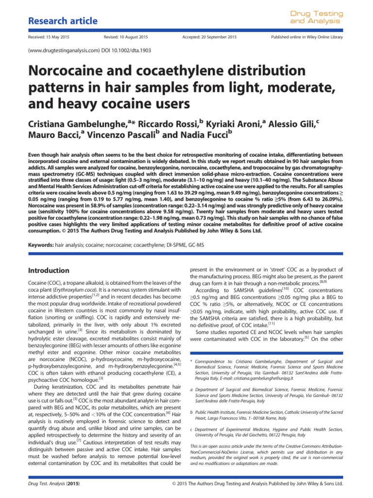 Cocaine Metabolites in Hair Analysis | PDF | Cocaine | Drug Test