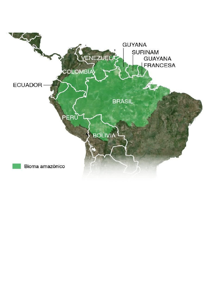 Mapa Del Amazonas | PDF