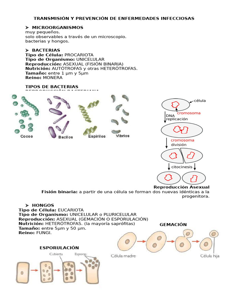 Transmisión y Prevención de Enfermedades Infecciosas | PDF | Virus ...