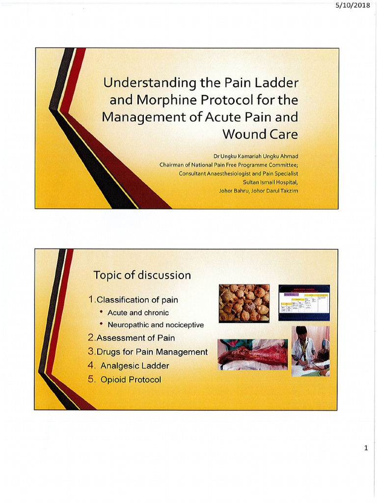 Understanding_the_Pain_Ladder_and_Morphine_Protocol_for_the_Management ...