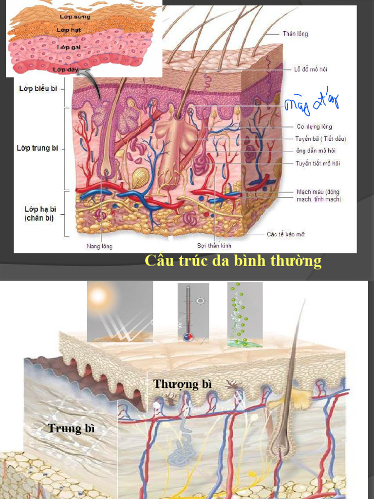Bài 1 STCB | PDF