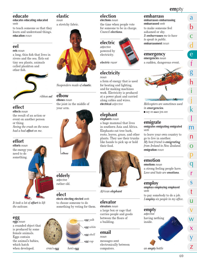 Children_s illusrated Dictionary-71 | PDF | Egg