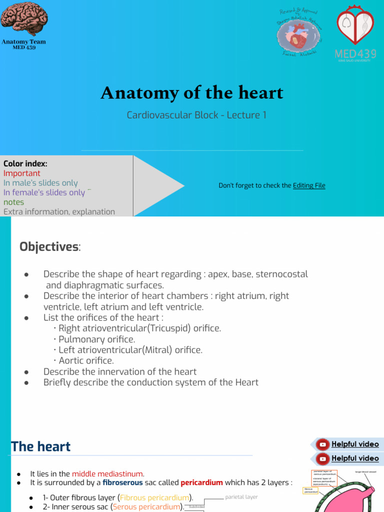 1-Heart | PDF | Heart Valve | Heart