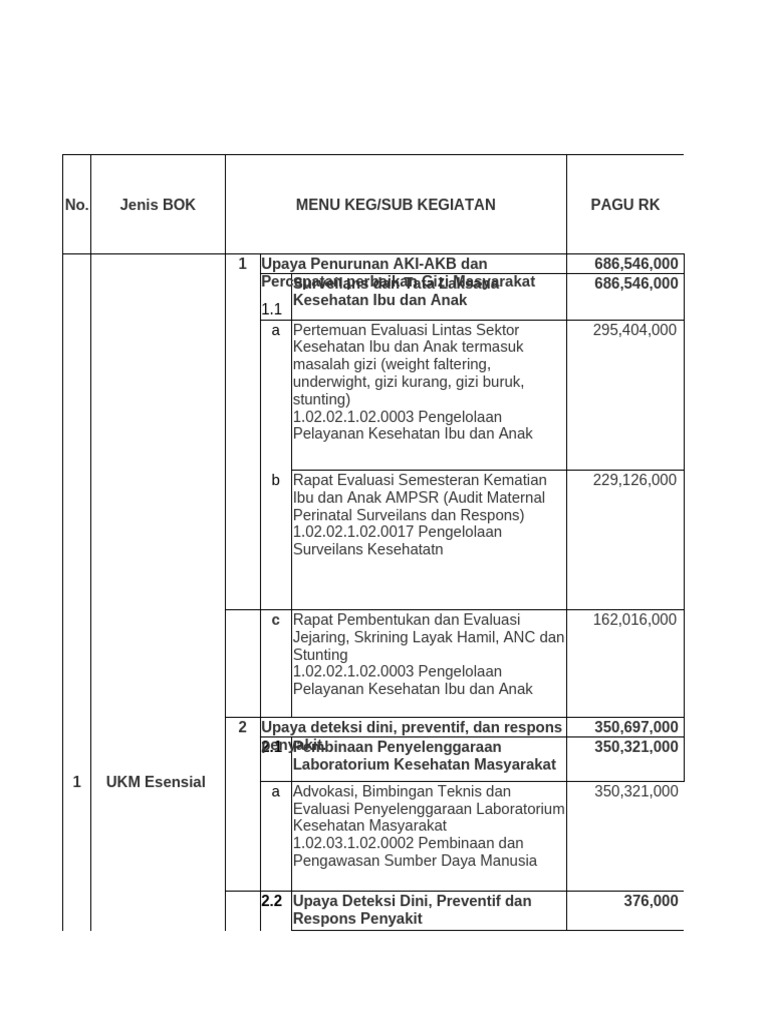 Lap Realiasasi DAK NF 2024 | PDF
