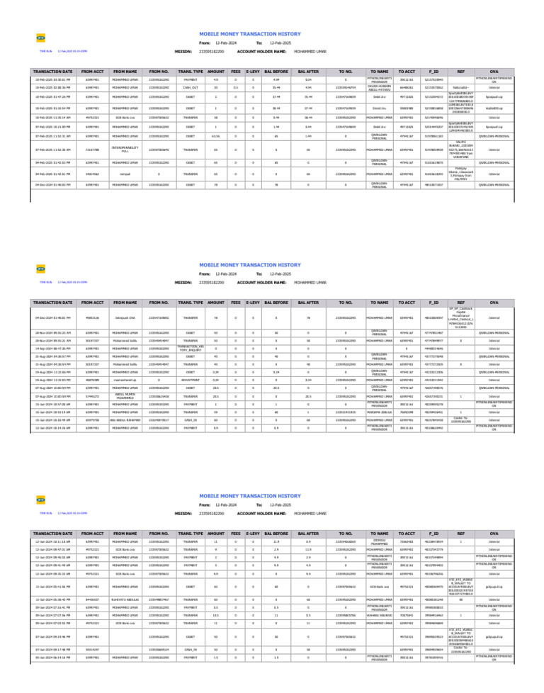 Momo Statement Report | PDF | Debit Card | Economies
