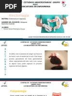 El Paciente Con Proctorragia Como Abordarlo | PDF | Hemorroides ...