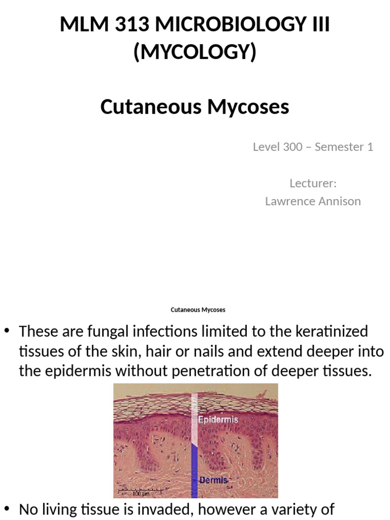 Lecture 6 - Cutaneous Mycoses | PDF | Diseases And Disorders | Microbiology