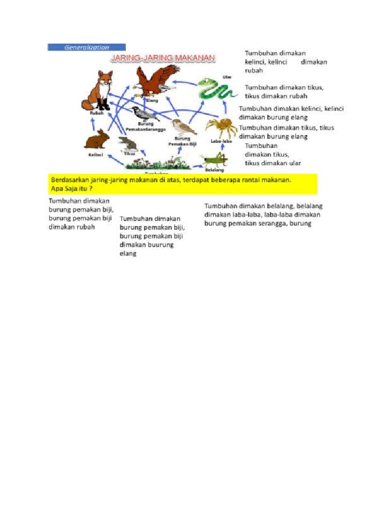 Jaring2 Makanan | PDF