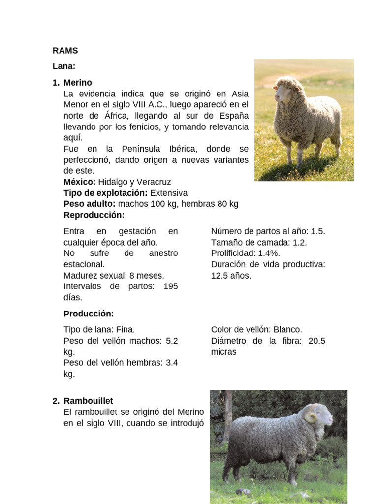 RAMS | PDF | Oveja | Leche