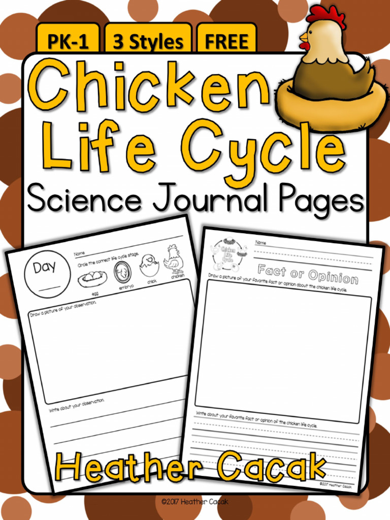 ChickenLifeCycleScienceJournalObservationPagesPK1FREE 1 | PDF