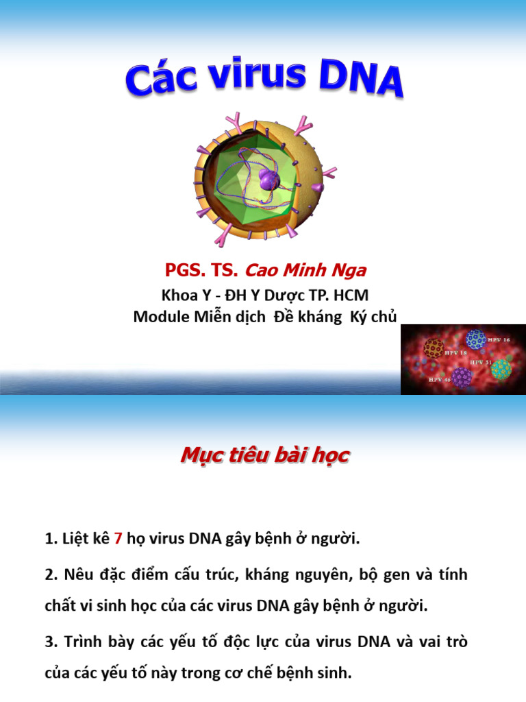 DNA VIRUSes (1,5 Tiết) | PDF
