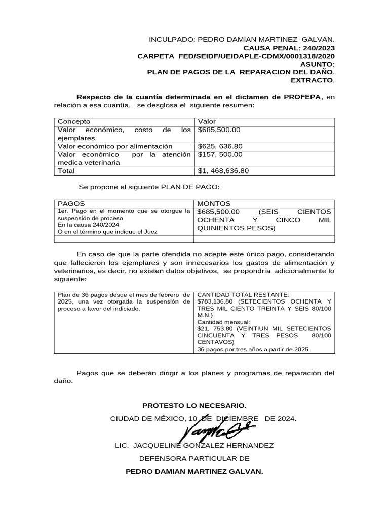 240-23 Plan Pagos Dic 24 | PDF