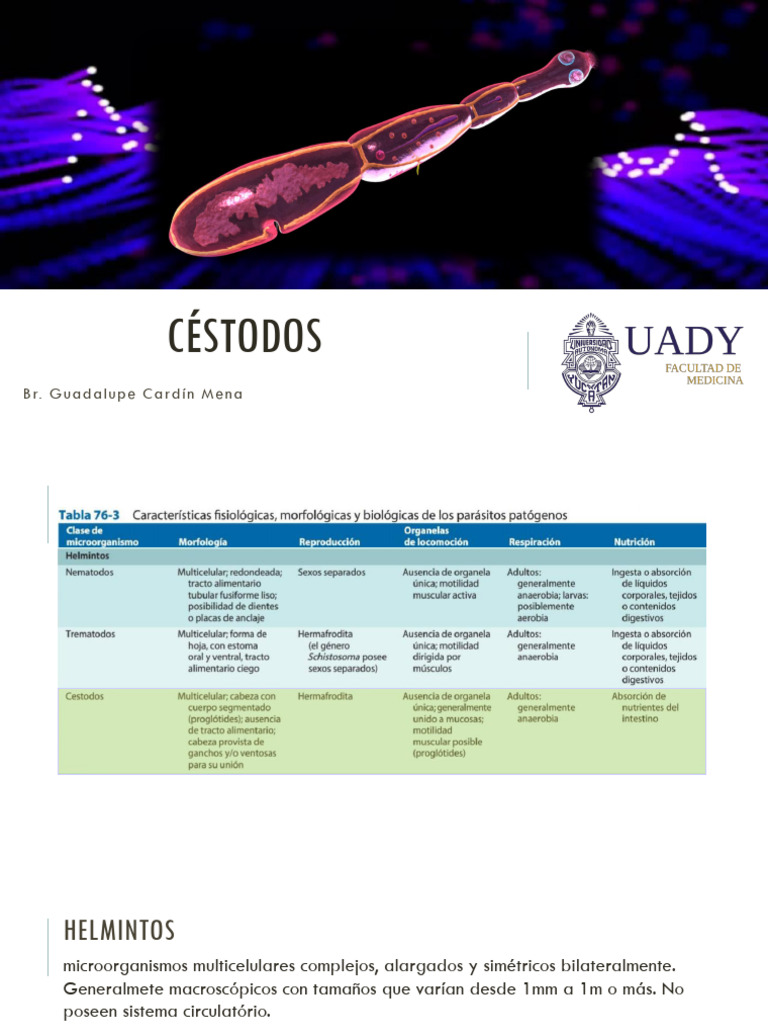 Céstodos | PDF | Biología
