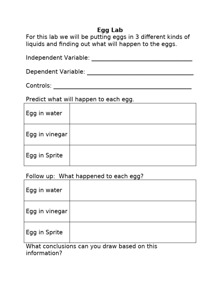 Egg Experiment in Different Liquids | PDF