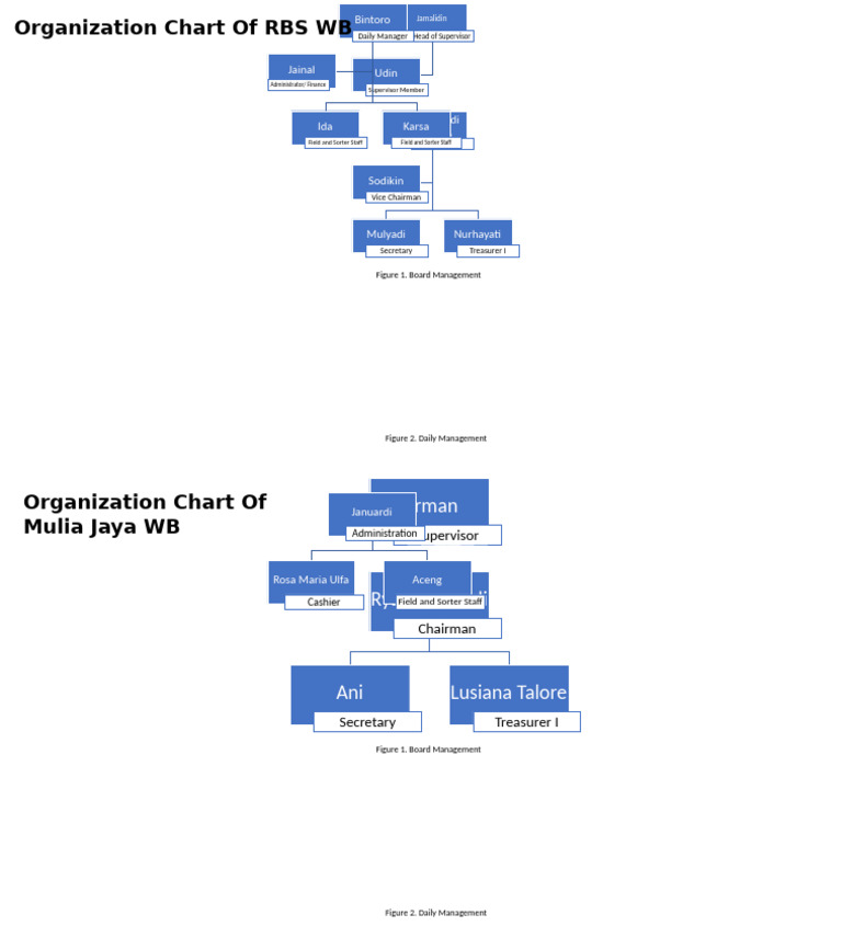 Organization Chart RBS and MJ | PDF