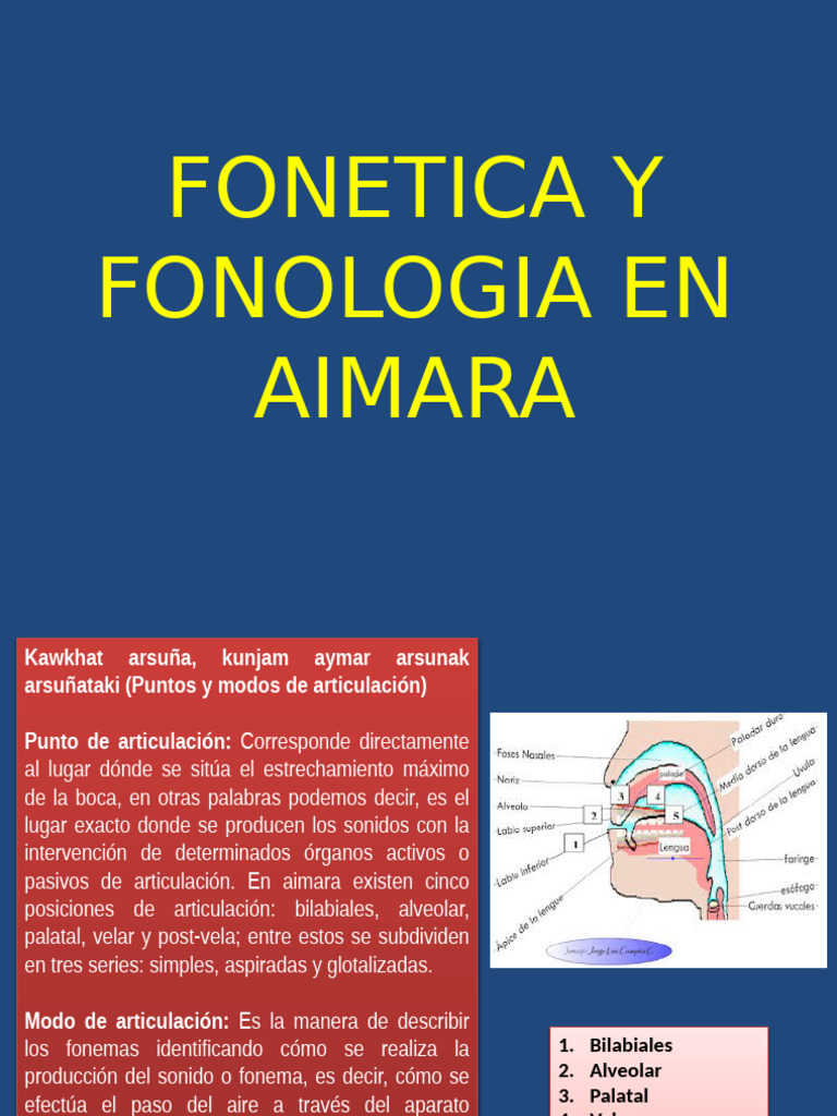 FONETICA Y FONOLOGIA EN AIMARA | PDF | Fonología | Fonema