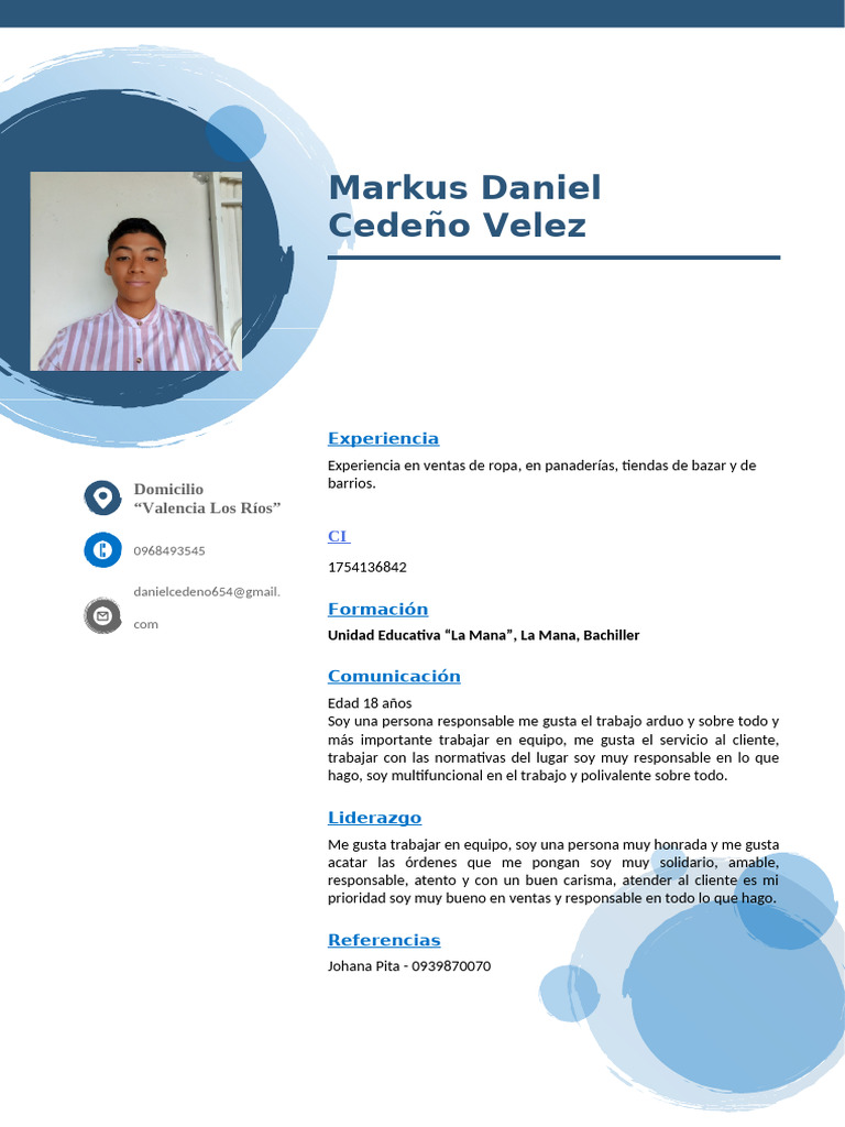 Curriculum Daniel Cedeño | PDF