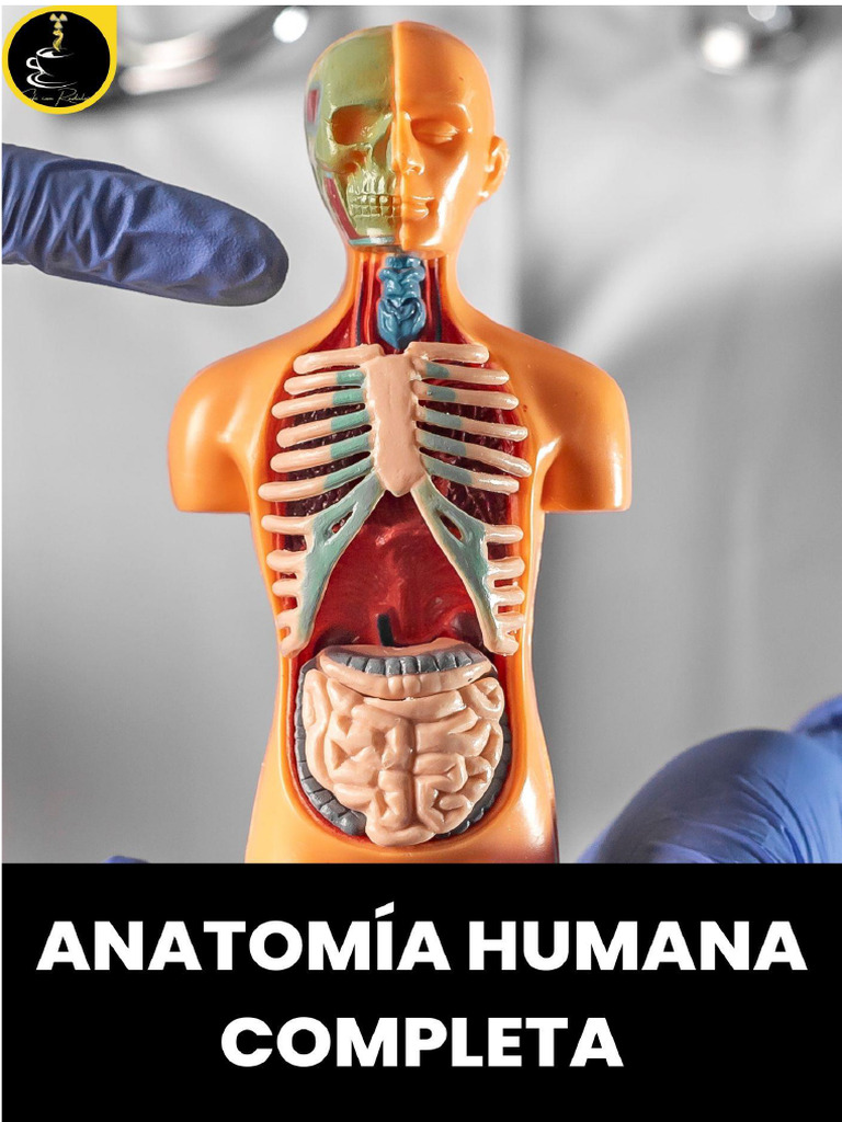 Anatomía Humana: Estructuras y Sistemas | PDF | Hueso | Esqueleto