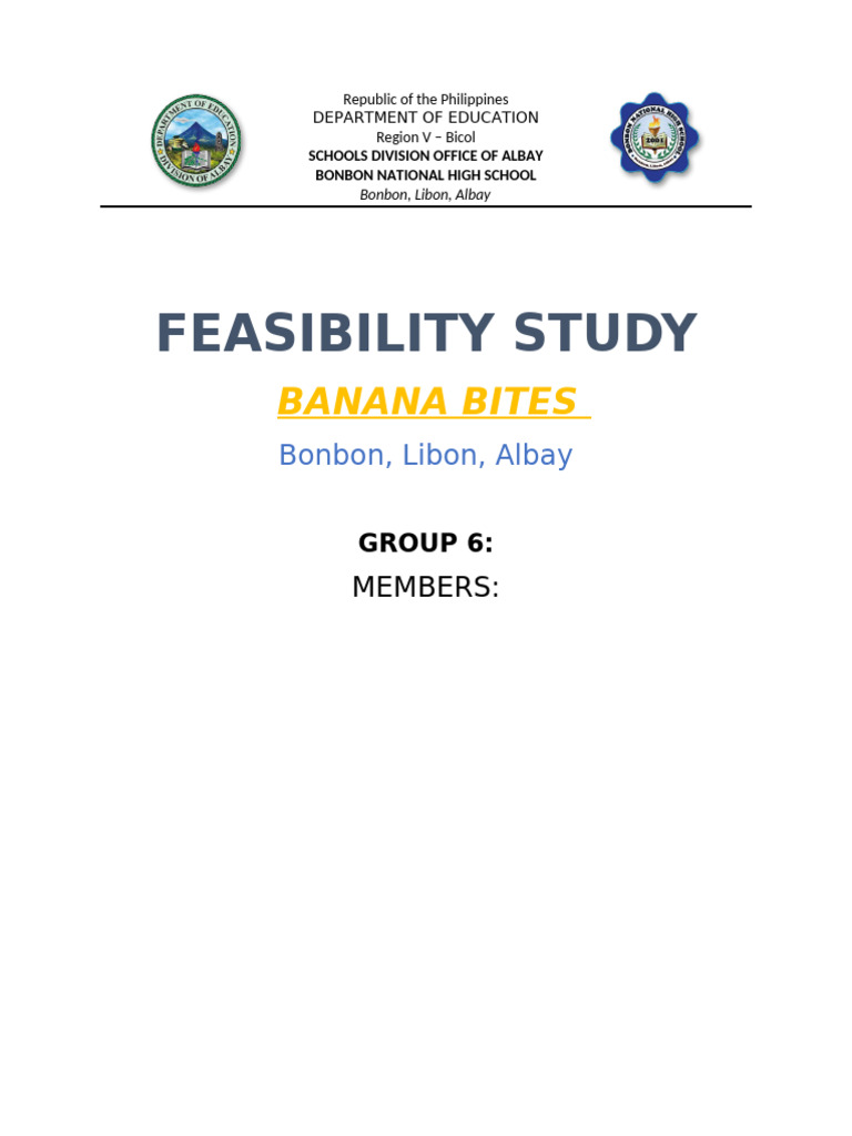 Feasibility Study Pdf