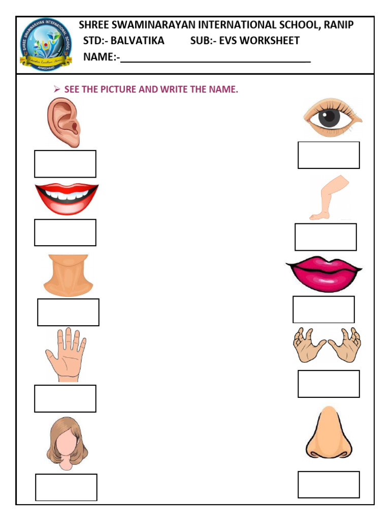 Blvatika 1st Term Evs Worksheet (2024-25) | PDF