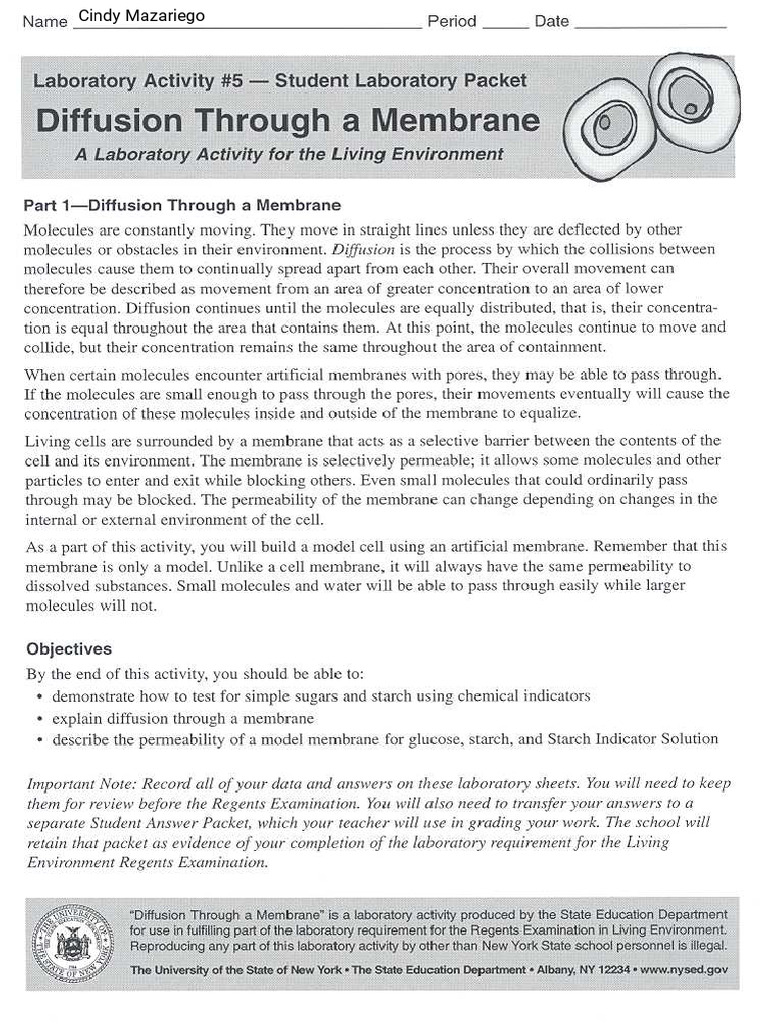 Diffusion Through A Membrane STATE LAB Answer Packet | PDF | Osmosis | Cell Membrane