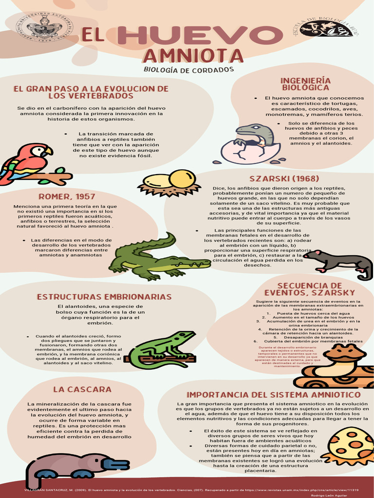 El Huevo Amniota | PDF | Huevo | Reptil
