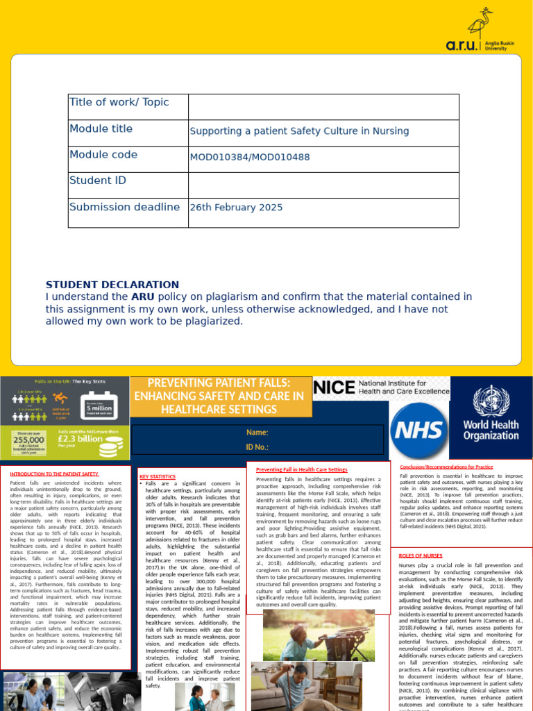 Fall Prevention Strategies in Nursing | PDF | Patient Safety | Nursing