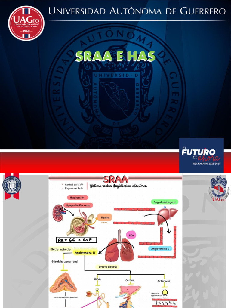 Sistema Raa | PDF | Hipertensión | Especialidades Medicas