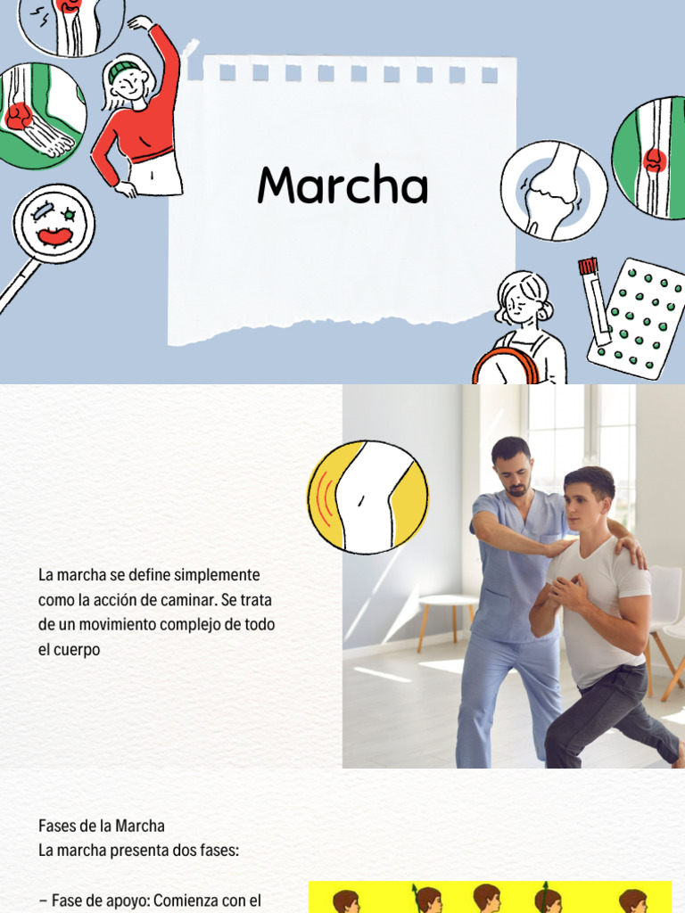 Marchas Miopática y Paraparesica | PDF | Pie | Sistema musculoesquelético