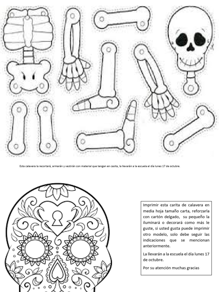 Manualidad Escolar: Calavera Decorativa | PDF