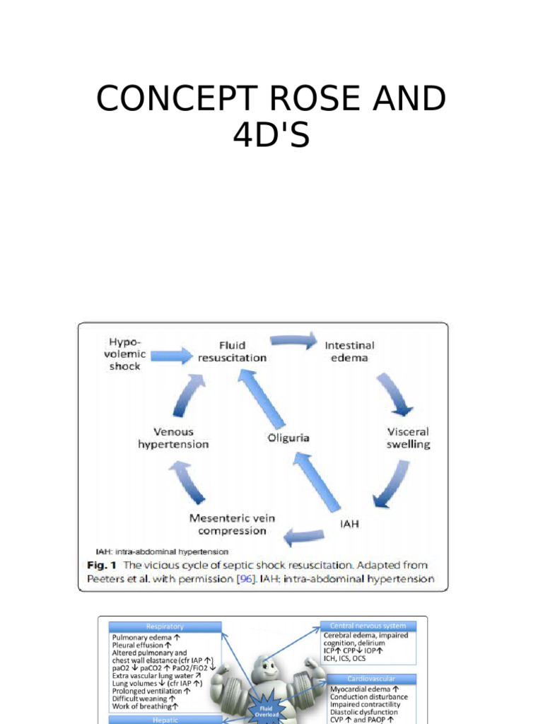 Concept Rose and 4D | PDF