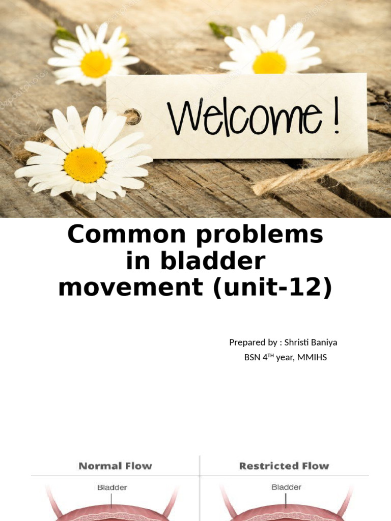 Urinary Retention and Incontinence Guide | PDF | Urinary Incontinence ...