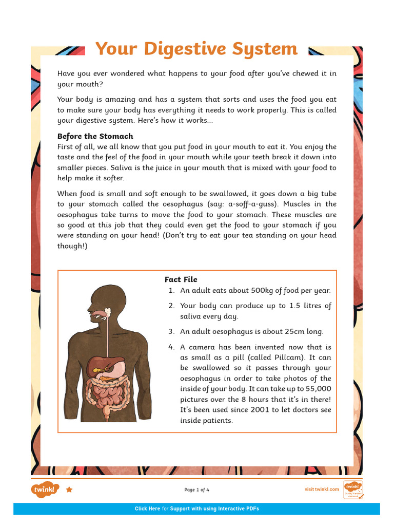 Search For Comprehension Year 4 Resources | PDF | Human Digestive ...