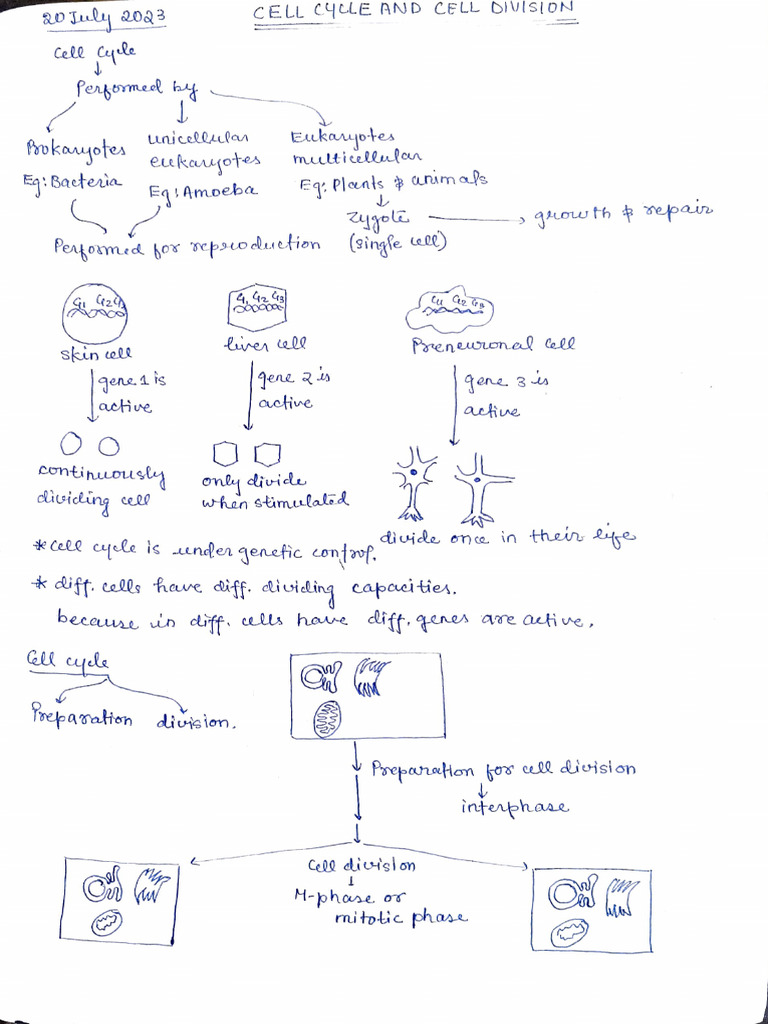Detailed Notes On CELL CYCLE AND CELL DIVISION | PDF | Cell Anatomy ...